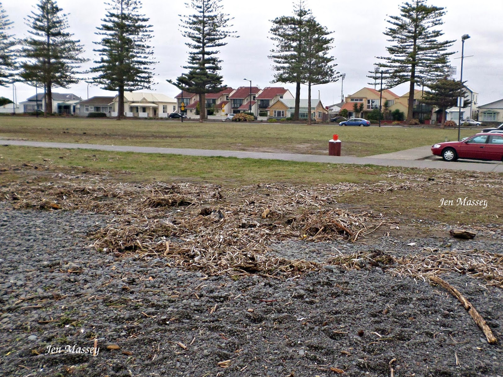 Napier Daily Photo: Cyclone Pam hits Napier