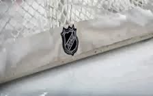 Nhl+ MLB Skeds