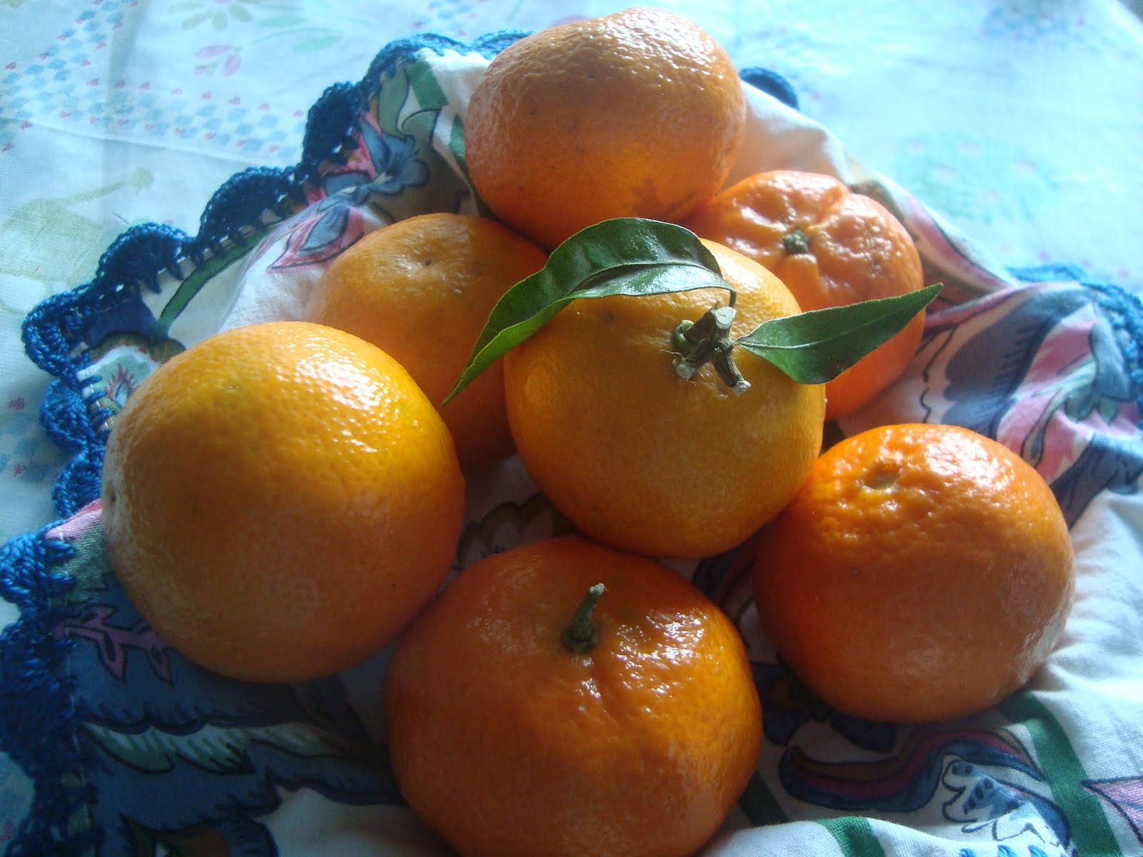 Blog de recetas de cocina caseras: LAS MANDARINAS