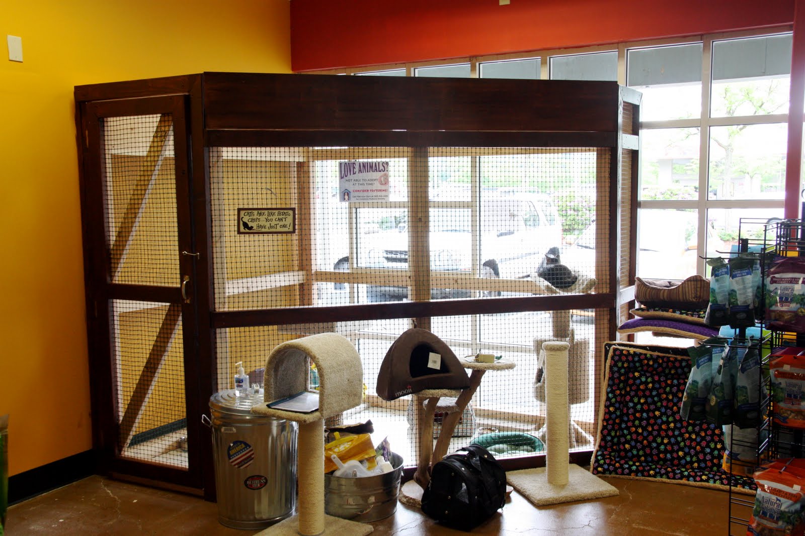 Nature's Pet - Murray Hill: New cat cage is up and full of kitties!