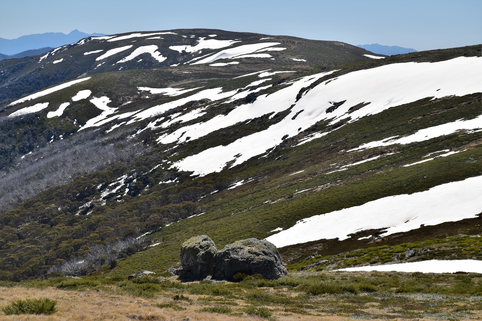 Goin' Feral One Day At A Time: Cope Hut to Big River, AAWT, Alpine ...
