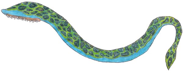 Anything4Fun: The Legend of Bahamut