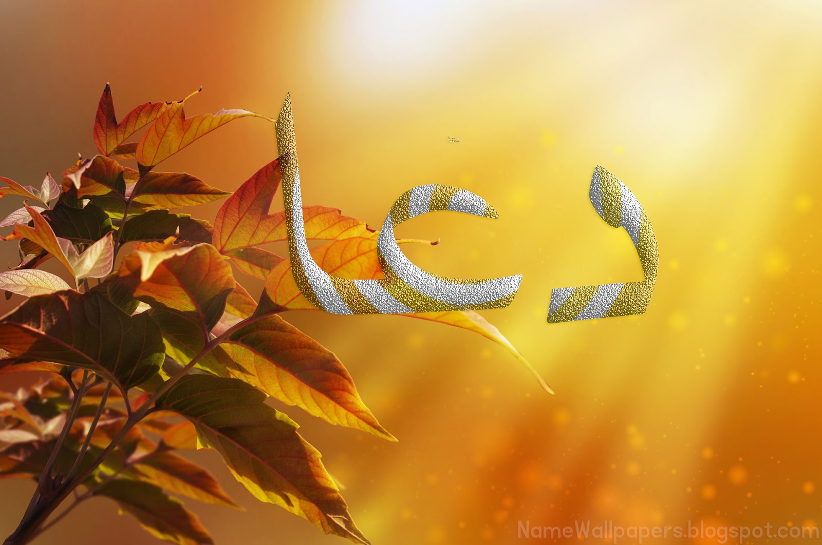 Dua Name Wallpapers Dua ~ Name Wallpaper Urdu Name Meaning Name Images ...
