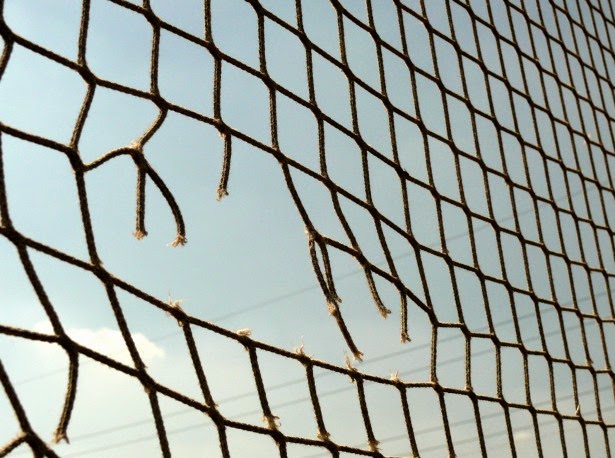 My Really, Real Reality: Dropping Your Nets