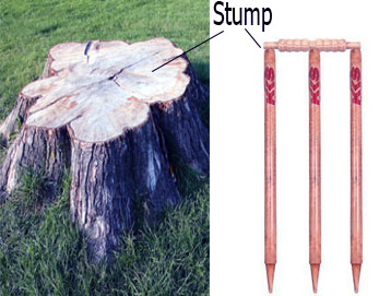 Sports Name, Meaning & Picture | Necessary Vocabulary - Necessary ...