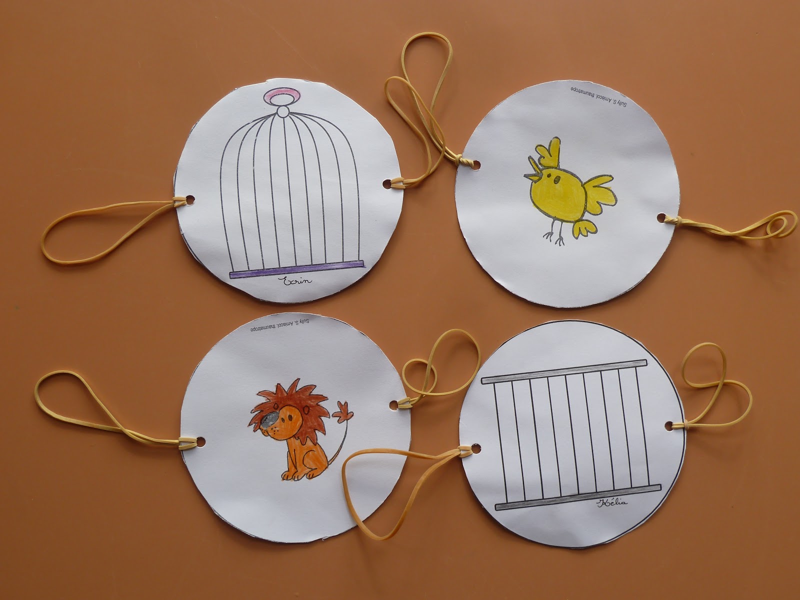 Amiscol: Thaumatrope