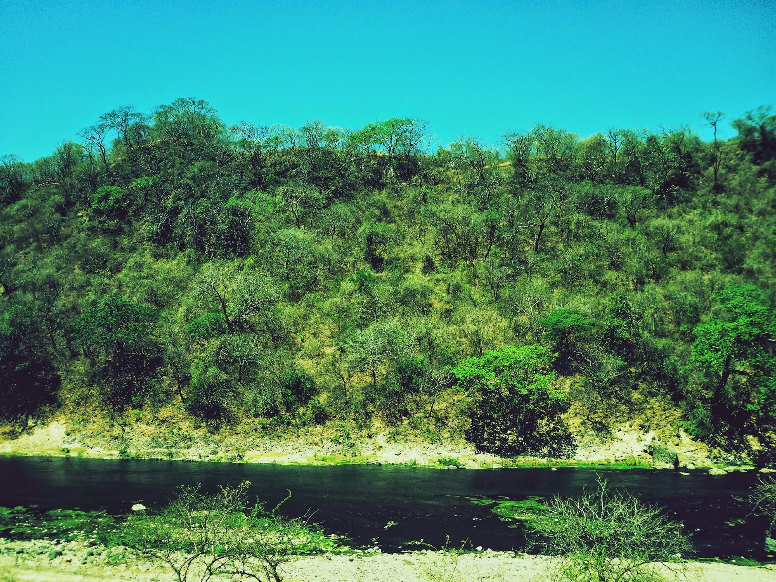 Fotos del Rio Paz visto desde el Cerro.