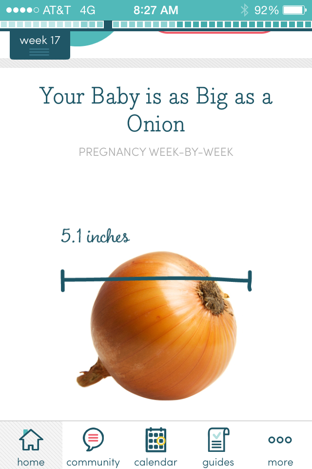 Babe with a Baby: BUMPdate - 17 Weeks!