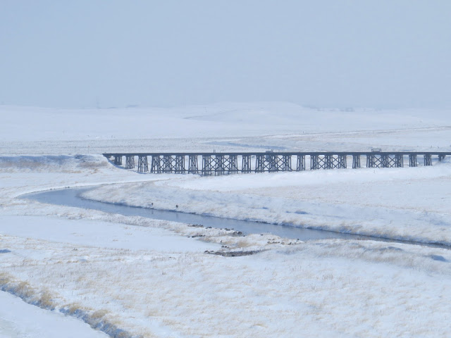 Still Life With Birder: The Draining of Rafferty Reservoir