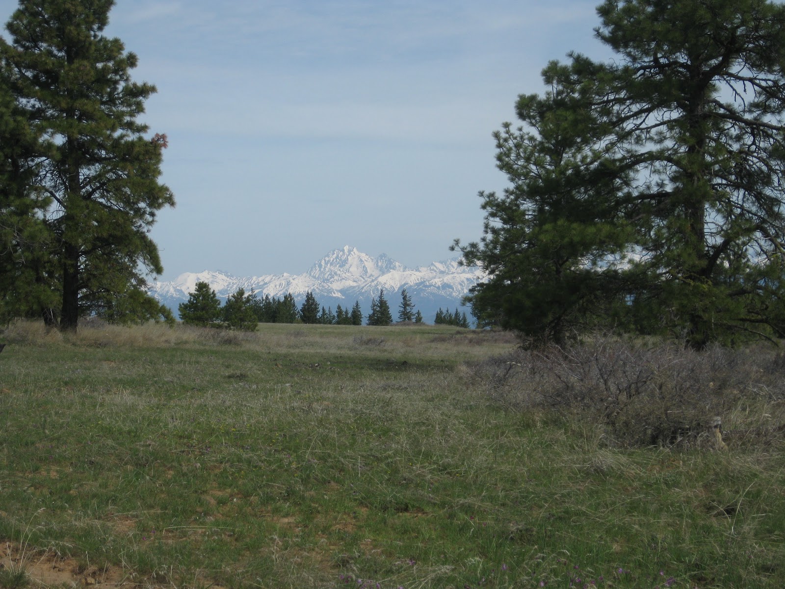 Central Washington Green Dot Trails - Recreation: L.T. Murray Wildlife Area