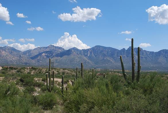 A View From Planet Boulder: TUCSON