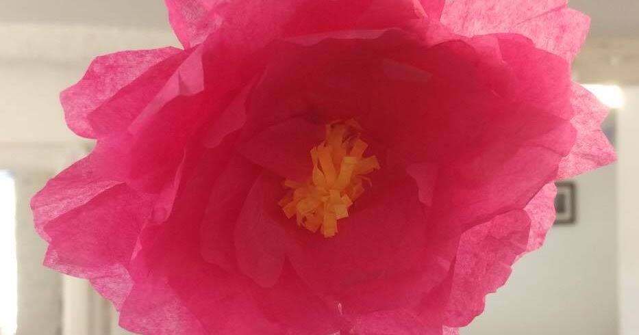 The Mulberry Bush: How To Make A Tissue Paper Carnation