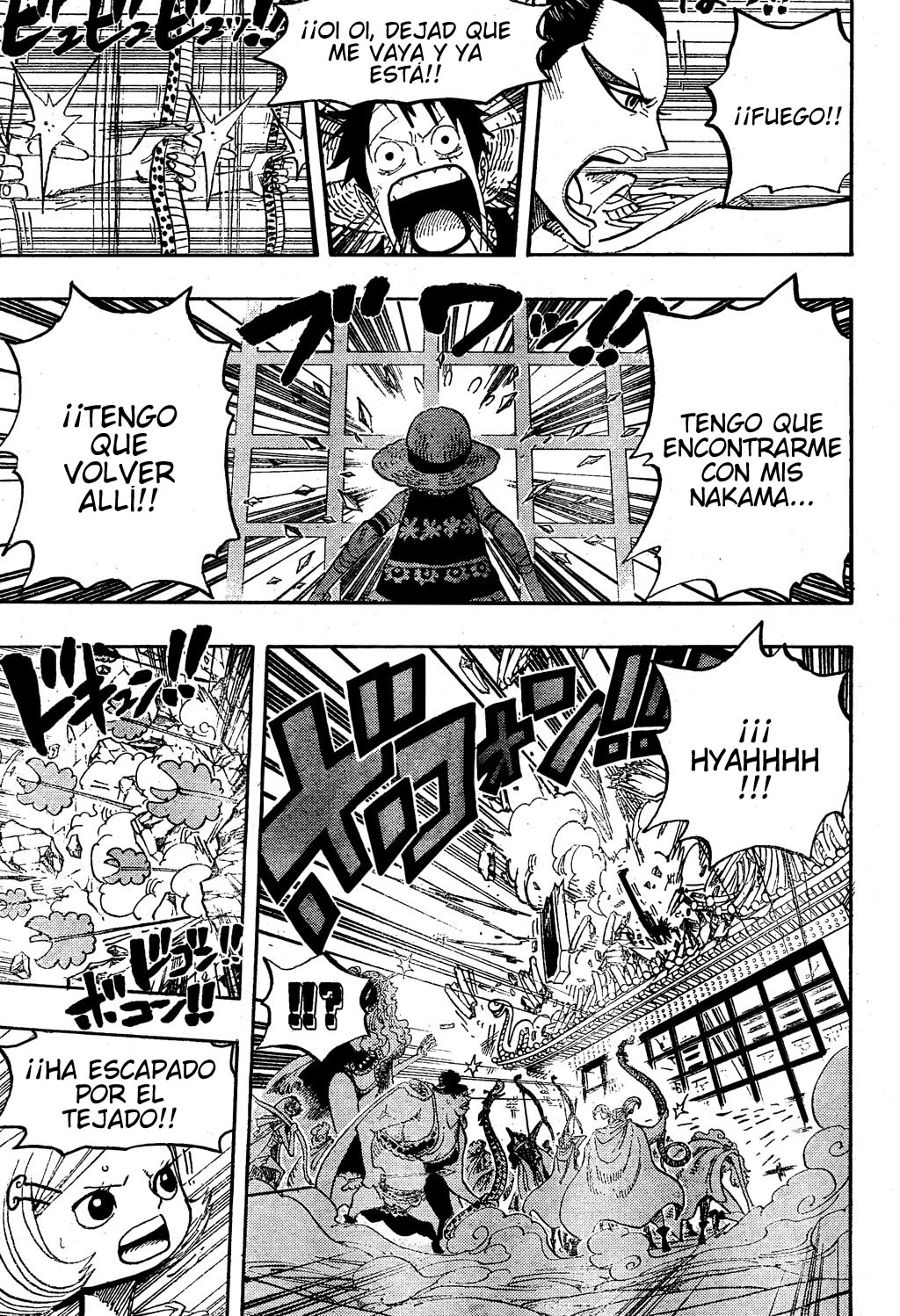 One Piece Manga Capitulo 515. Aventura en la isla de las mujeres ...