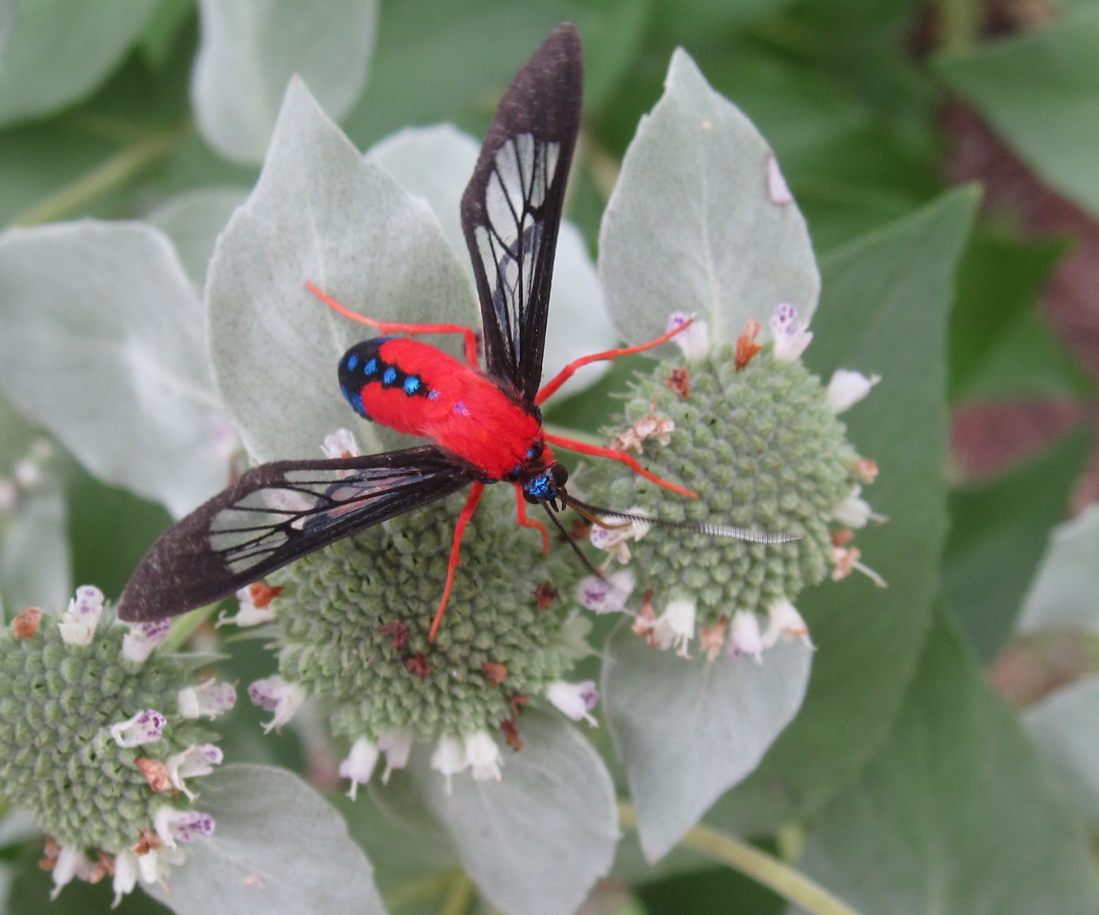 6 Generations: July 2013