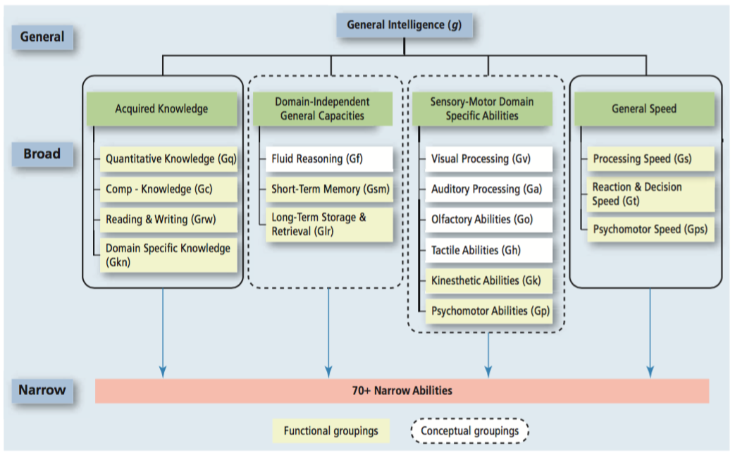 Le modèle CHC de l’intelligence ~ Par temps clair