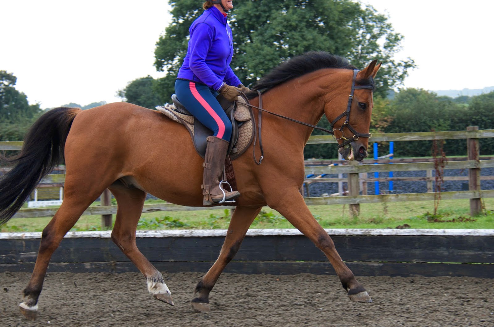 Rockley Farm: RRR 2014 - the photos!