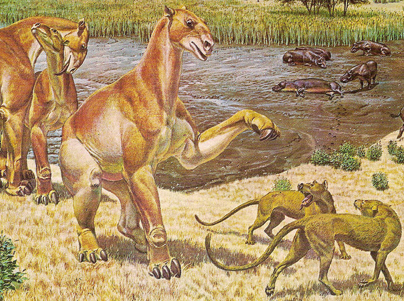 In the Company of Plants and Rocks: 2015