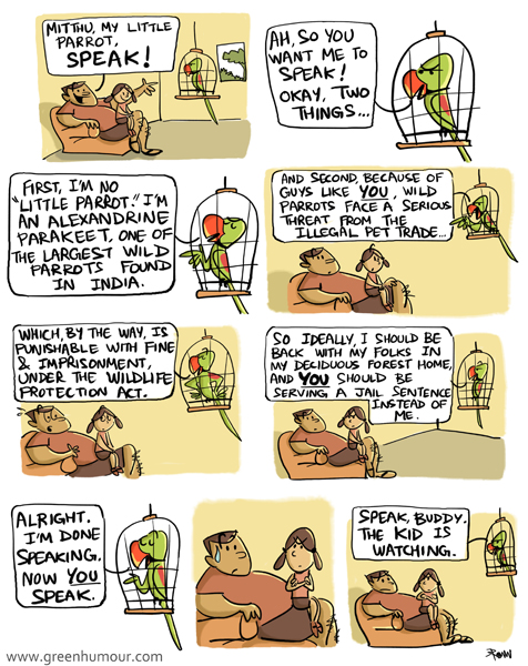 Green Humour: The Parakeet Pet Trade