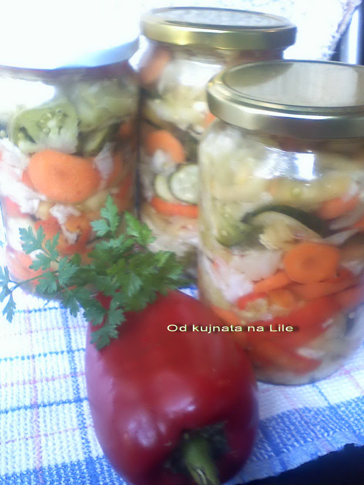 Vegetarijanski i posni jadenja i deserti.Vegetarian and Lenten cooking ...