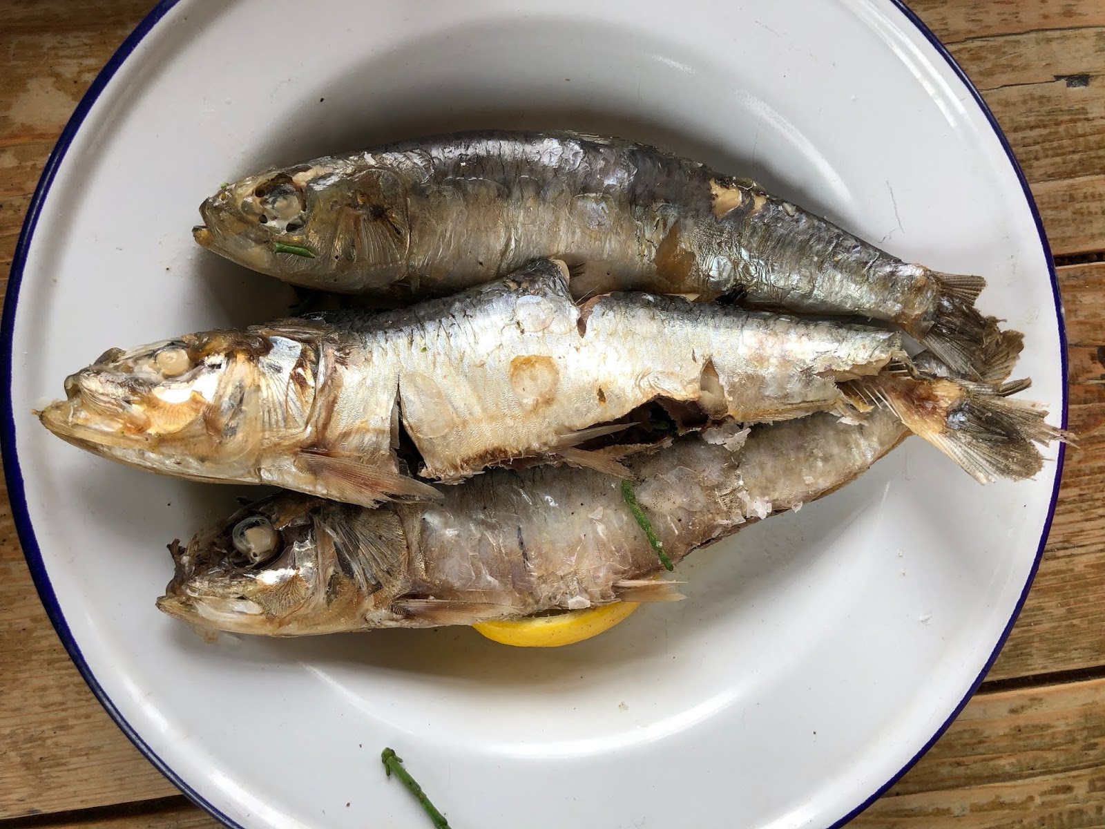 The Fish Shack, Amble - Lunch Menu Review | Big Stevie Cool