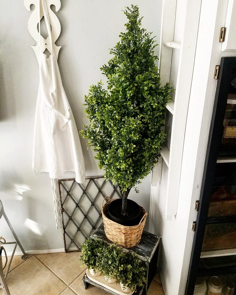 The Quaint Sanctuary: { 6 Cozy ways to Display Greenery in your Home ...