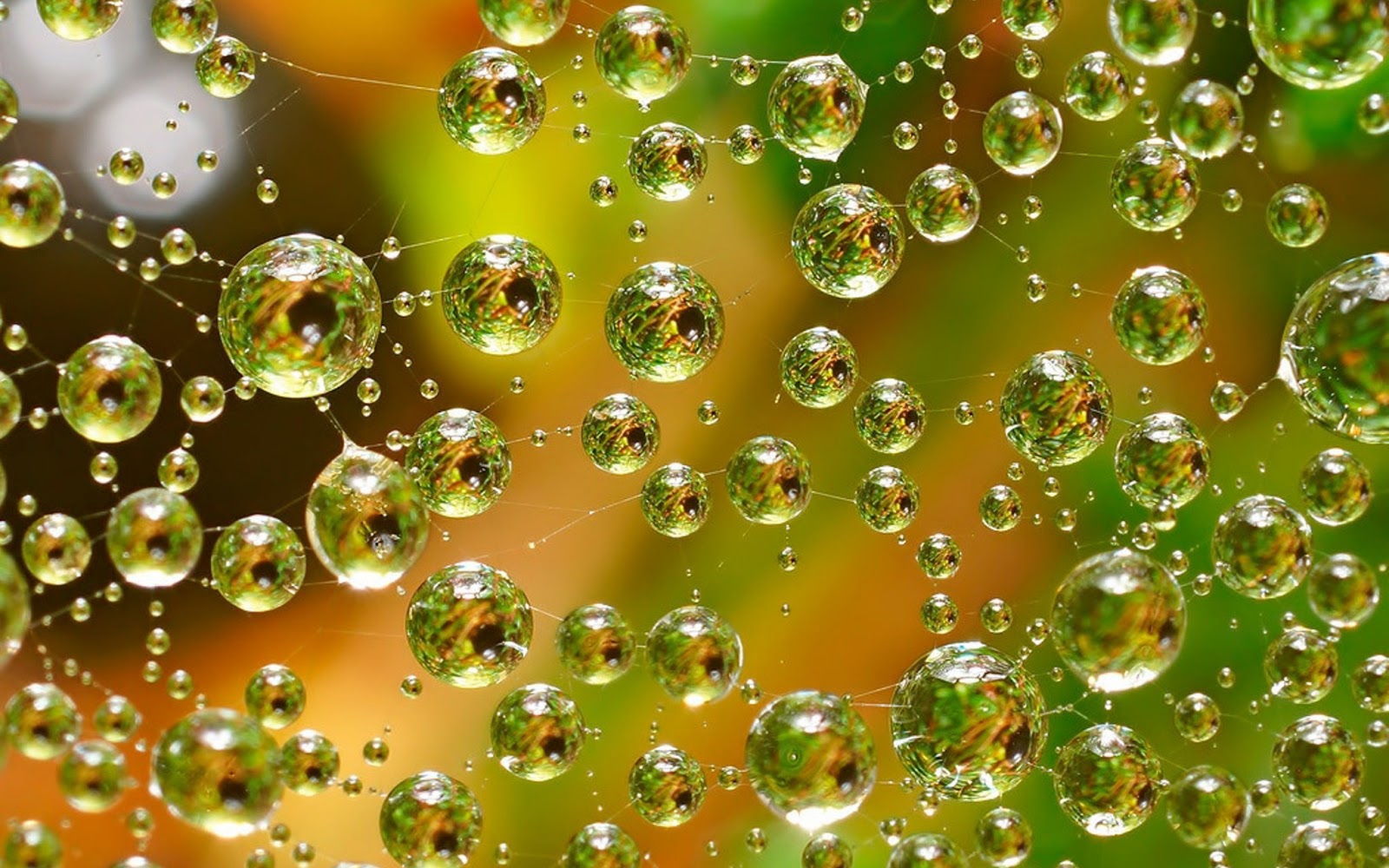 Desenfoque de imagen