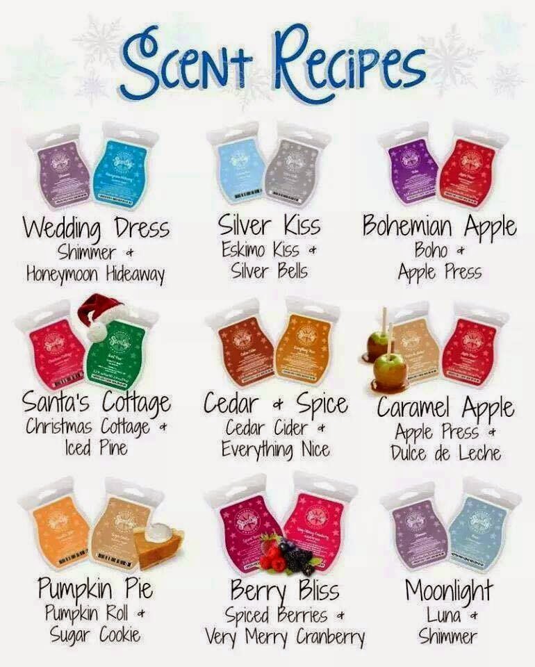 Karen Pelley ~ Independent Scentsy Director/Consultant: It's A Scentsy ...
