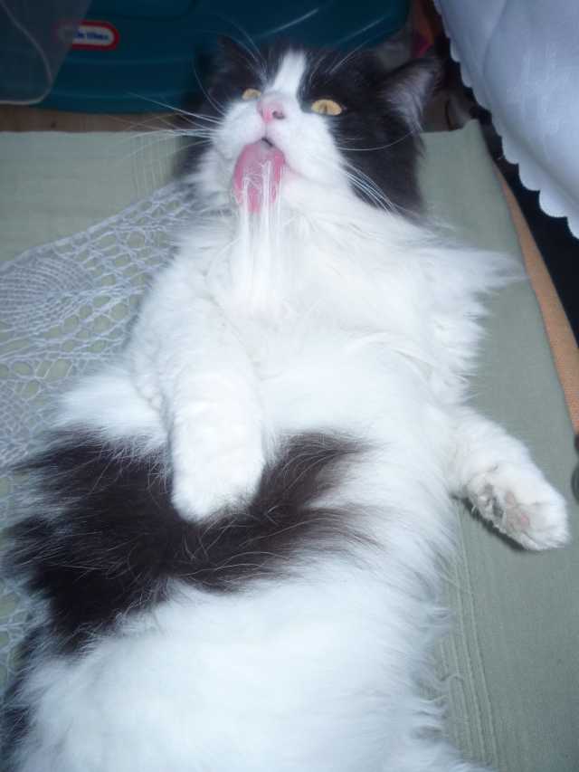 What Is Kate From Kate`s Playgrounds Real Name?