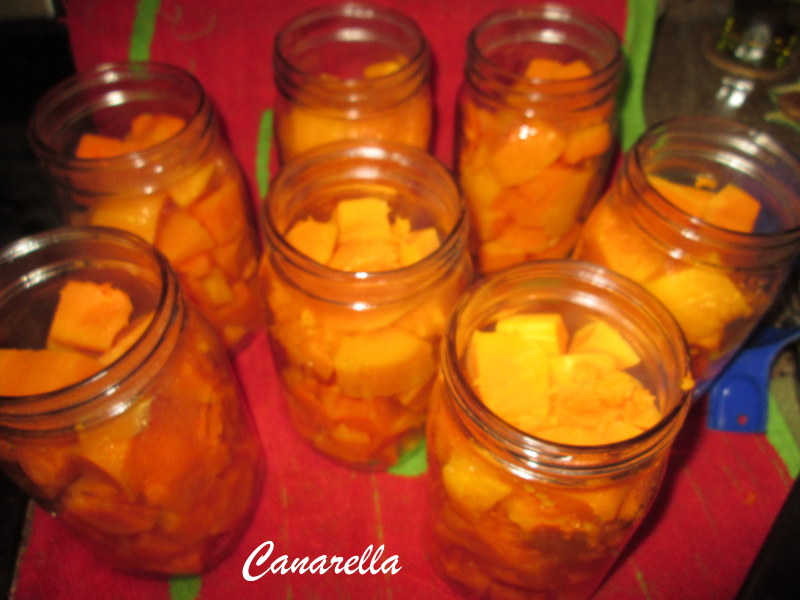 Canarella : Pressure Canning Butternut Squash