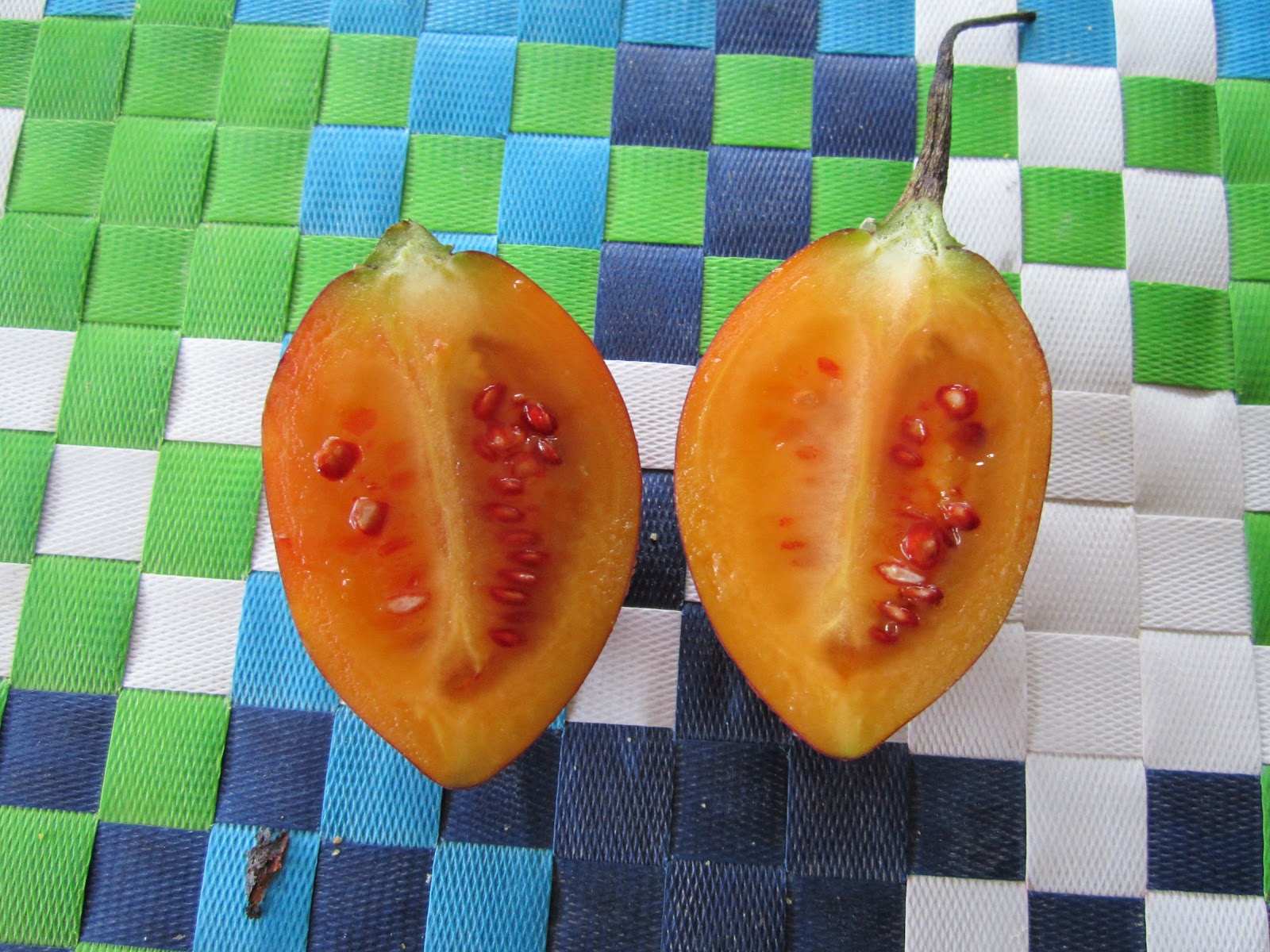 Getting to Galapagos: Frutas!