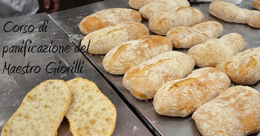 L'Italia nel Piatto: Pani d'Italia: il Nord