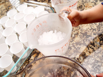 Frozen Jello Pops - Jamie Cooks It Up