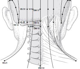 Blog Le Souffle du Menhir: VG 16 Feng Fu / Fēng Fŭ 風府 « Palais du Vent