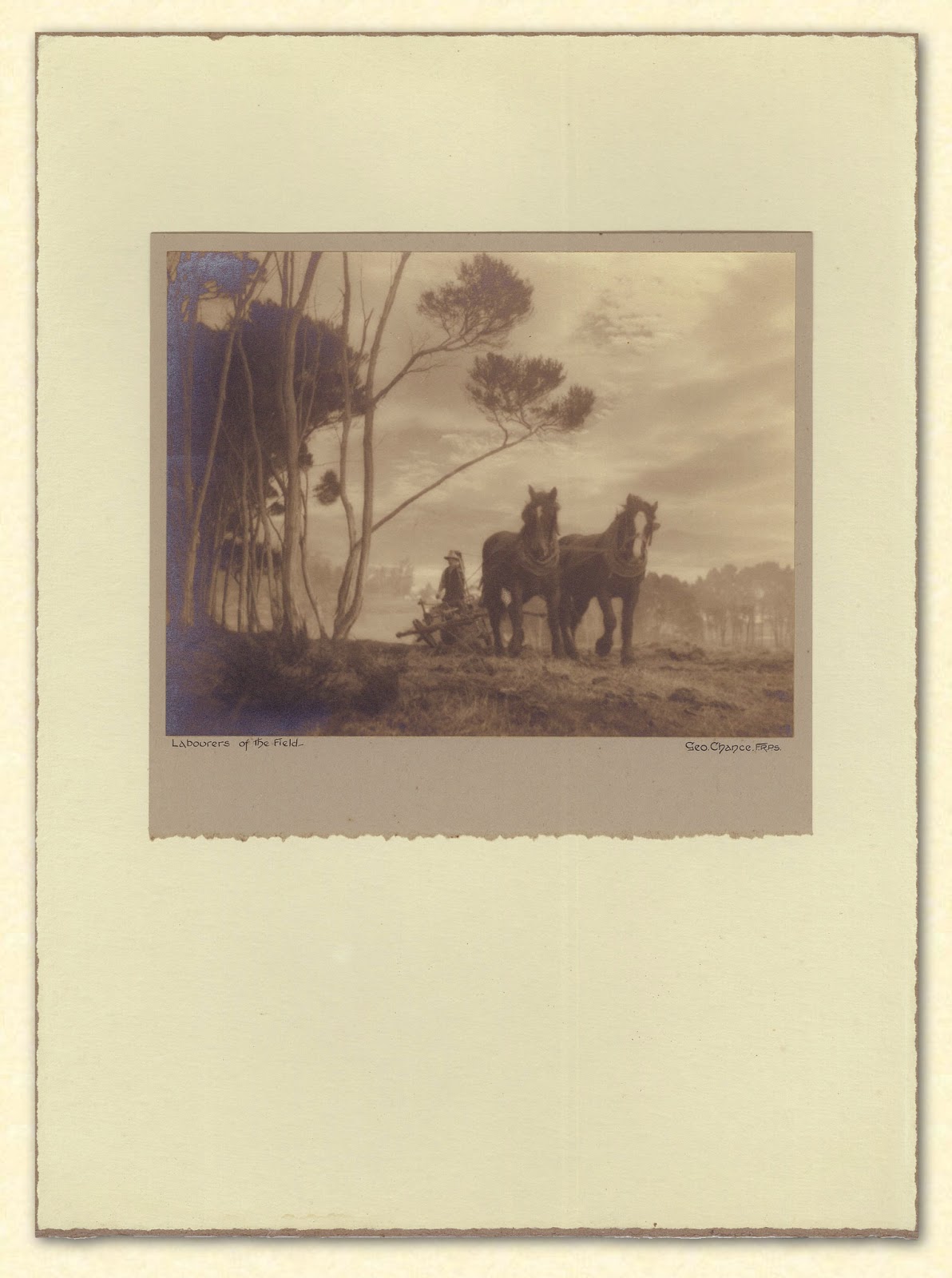 Early New Zealand Photographers: CHANCE, George