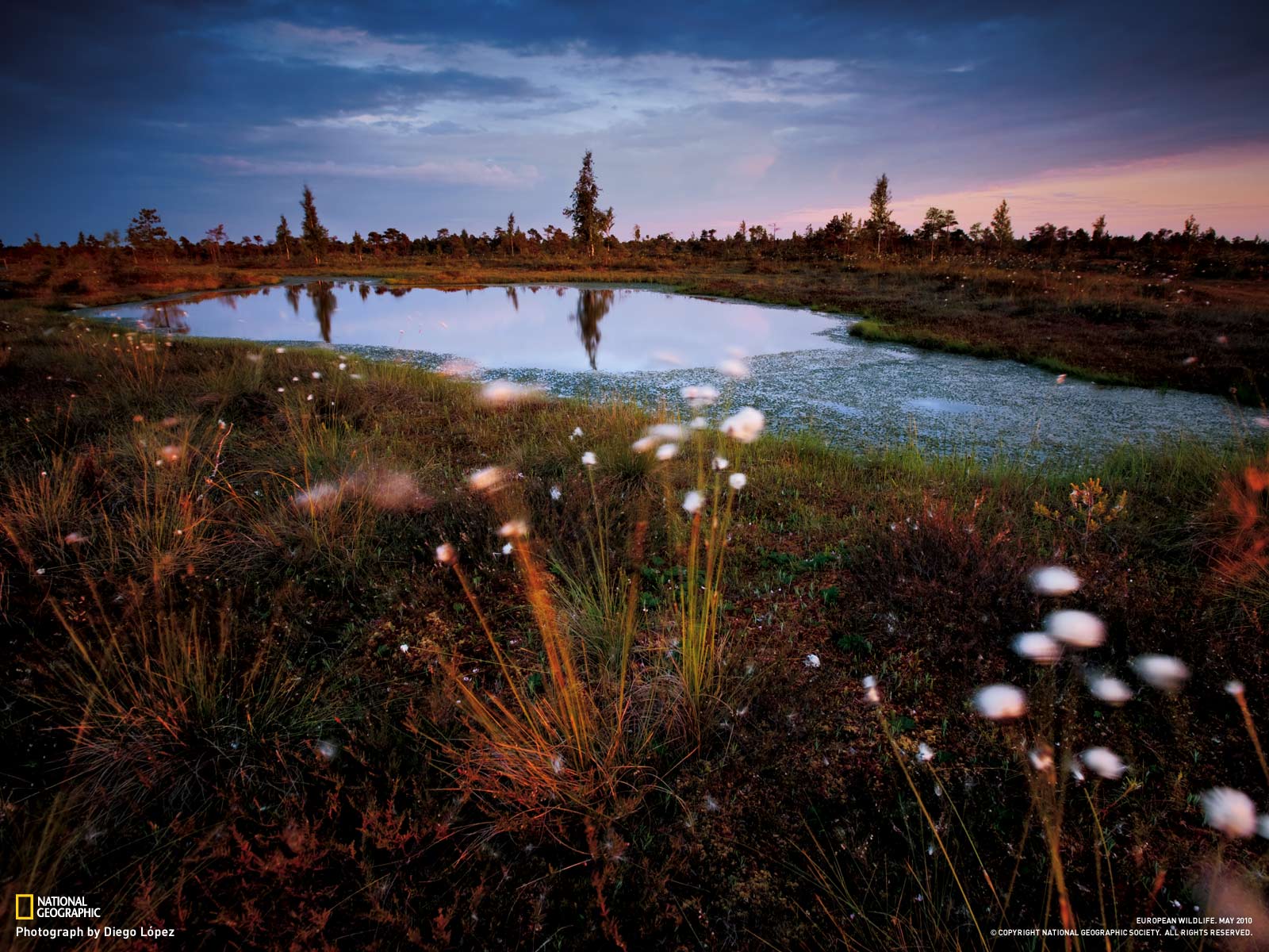 HD Wallpaper Download: BEAUTIFUL NAT GEO WALLPAPERS 1600X1200