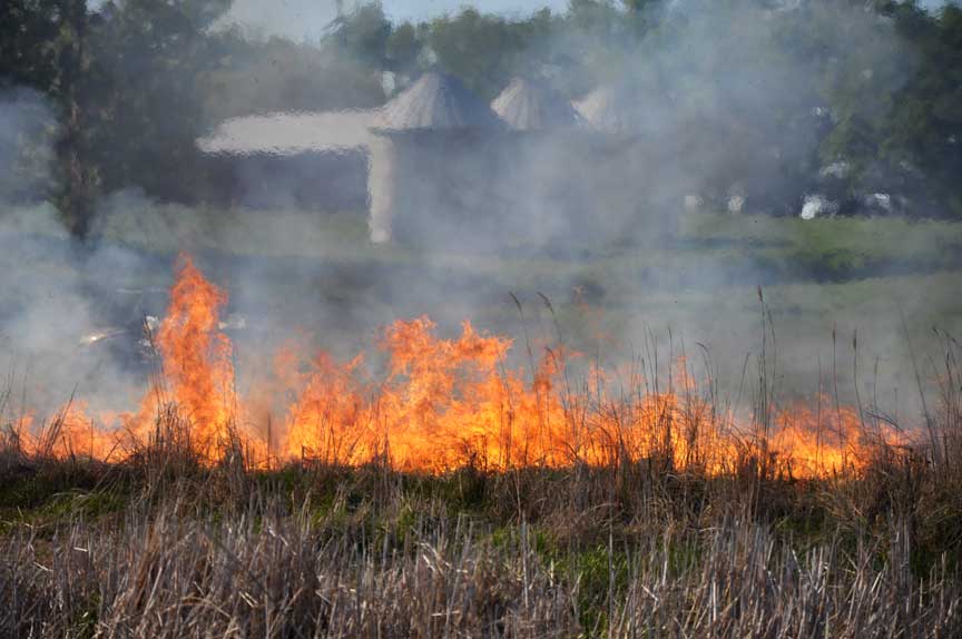 Taken For Granted: Grass Fire Pictures