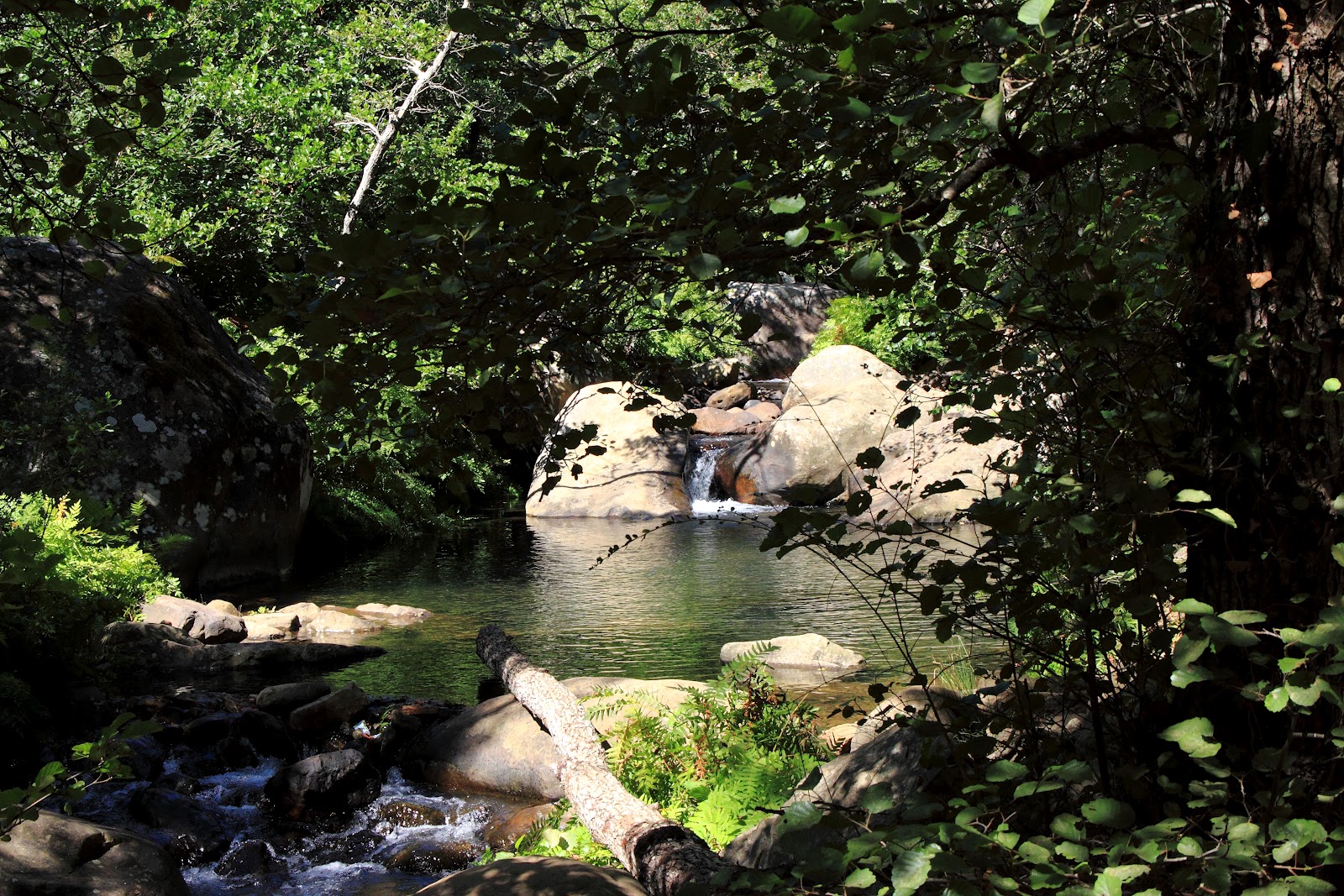 senderismo campo gibraltar: SENDERO RIO DE LA MIEL