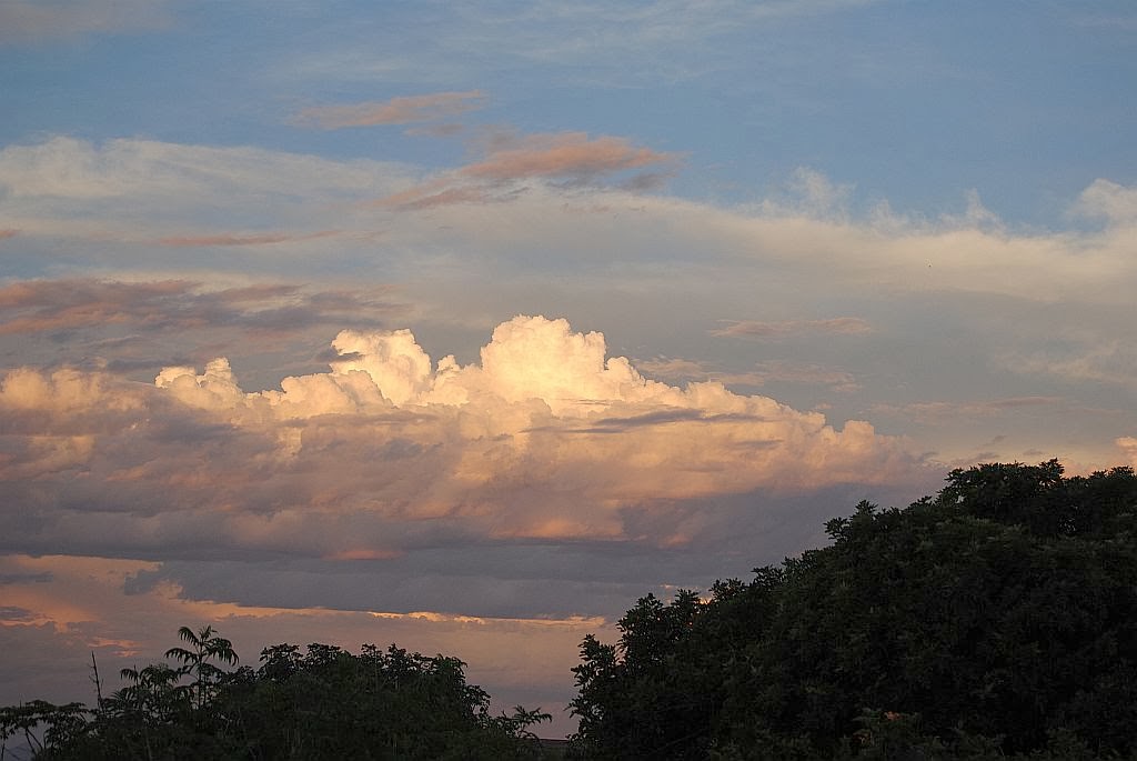 Mossel Bay Weather Observation, South Africa : Photos: Storm ...