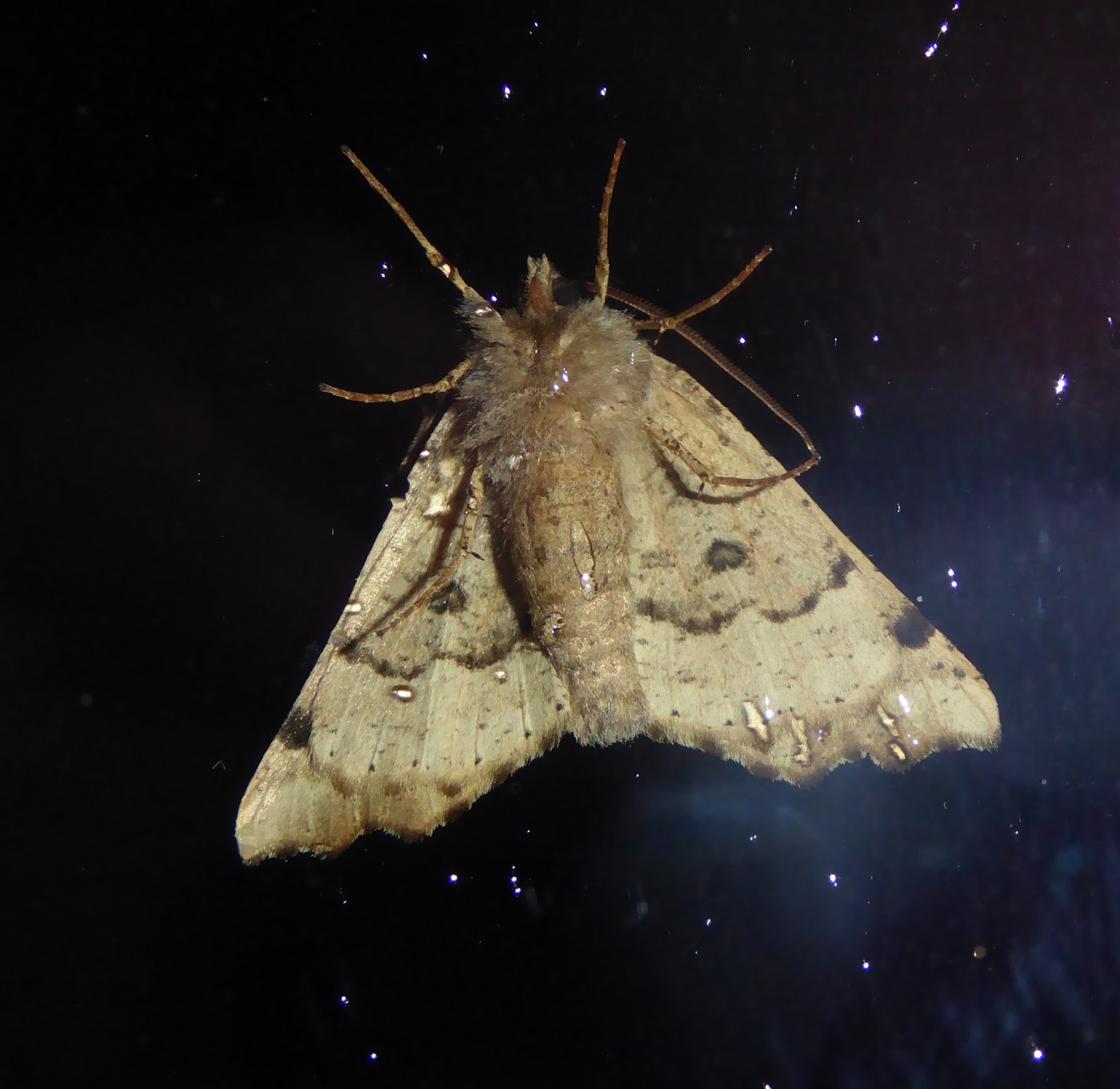 Wild and Wonderful: September 2017