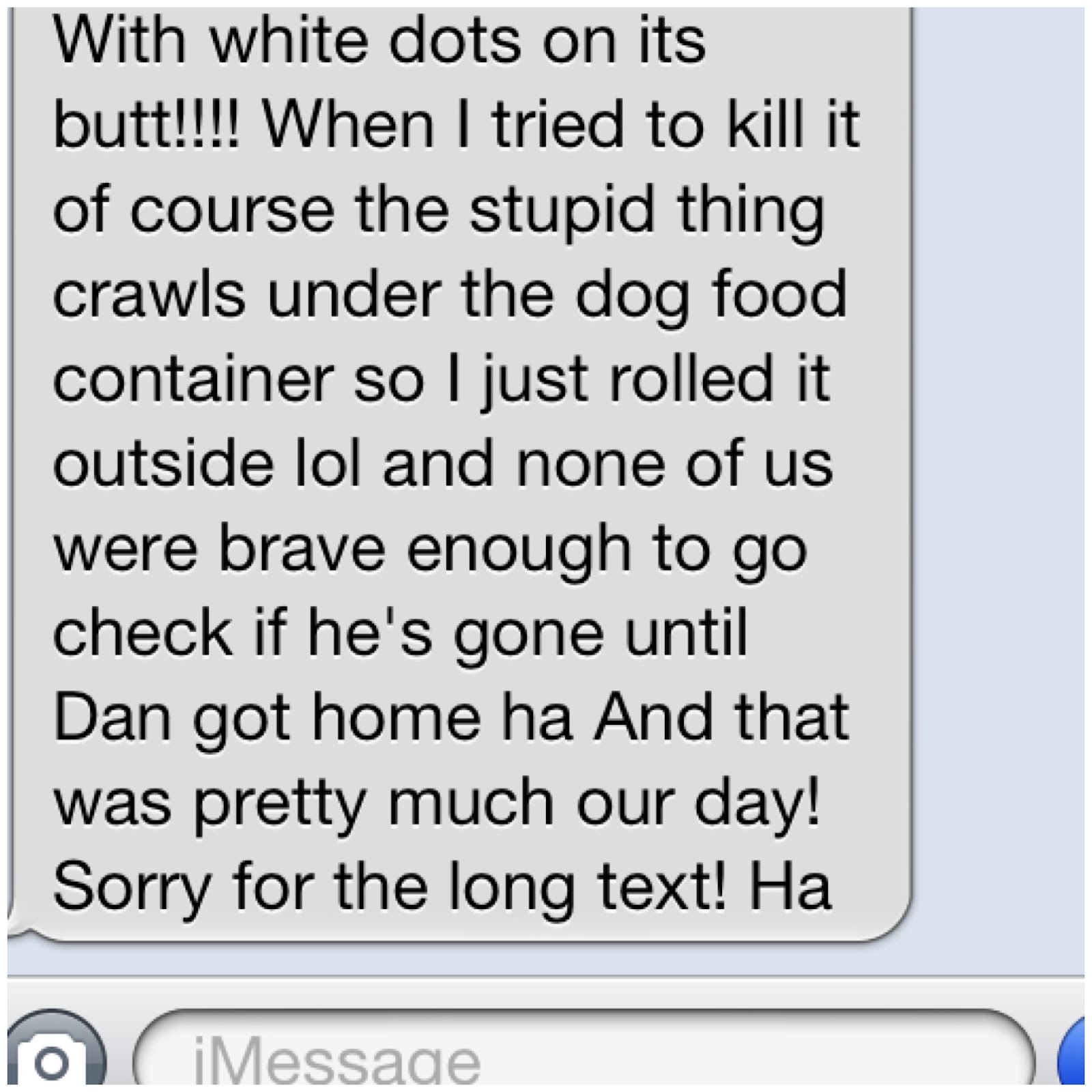 Longest Texts in the World | Adventures in Abelingland
