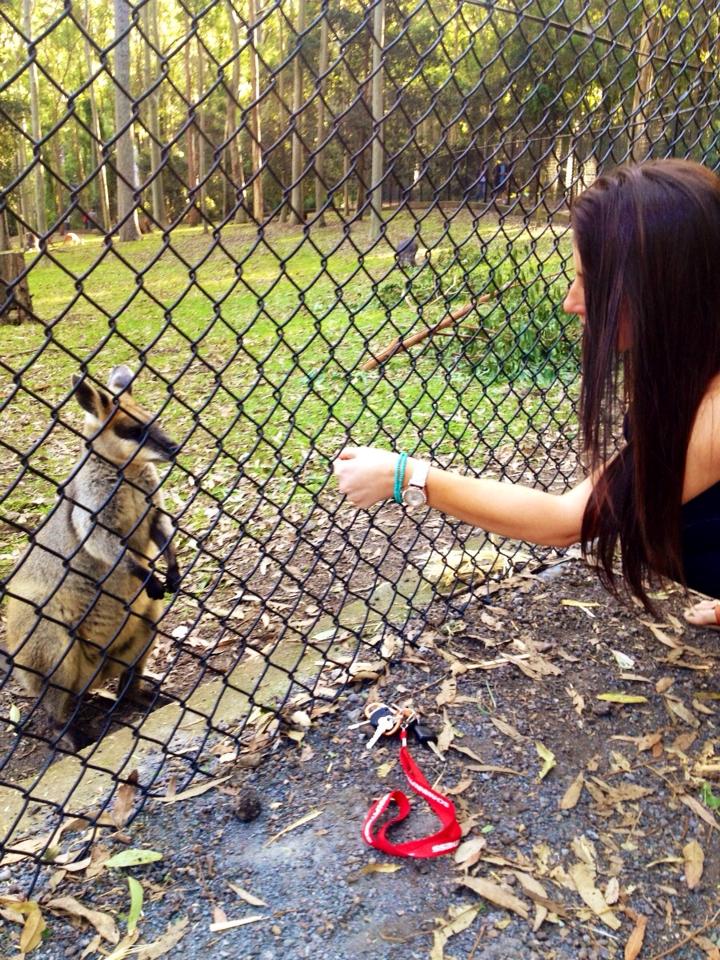 Miss Probasco and Barbie's Australian Adventure!: Kangaroo! Wahoo!