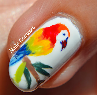 Nails Context: Pretty Parrot