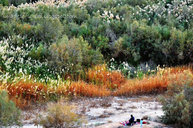 The Secret Lake - Blue Abaya