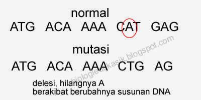 Mutasi, Sub Bab Pengertian dan Mutasi Gen - Biologi Edukasi: Belajar ...