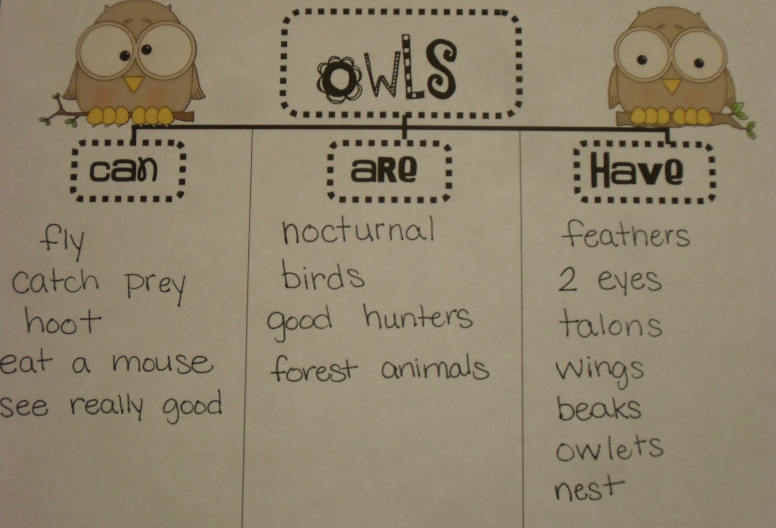 First Grade Fever! by Christie: Now this is something to HOOT about!