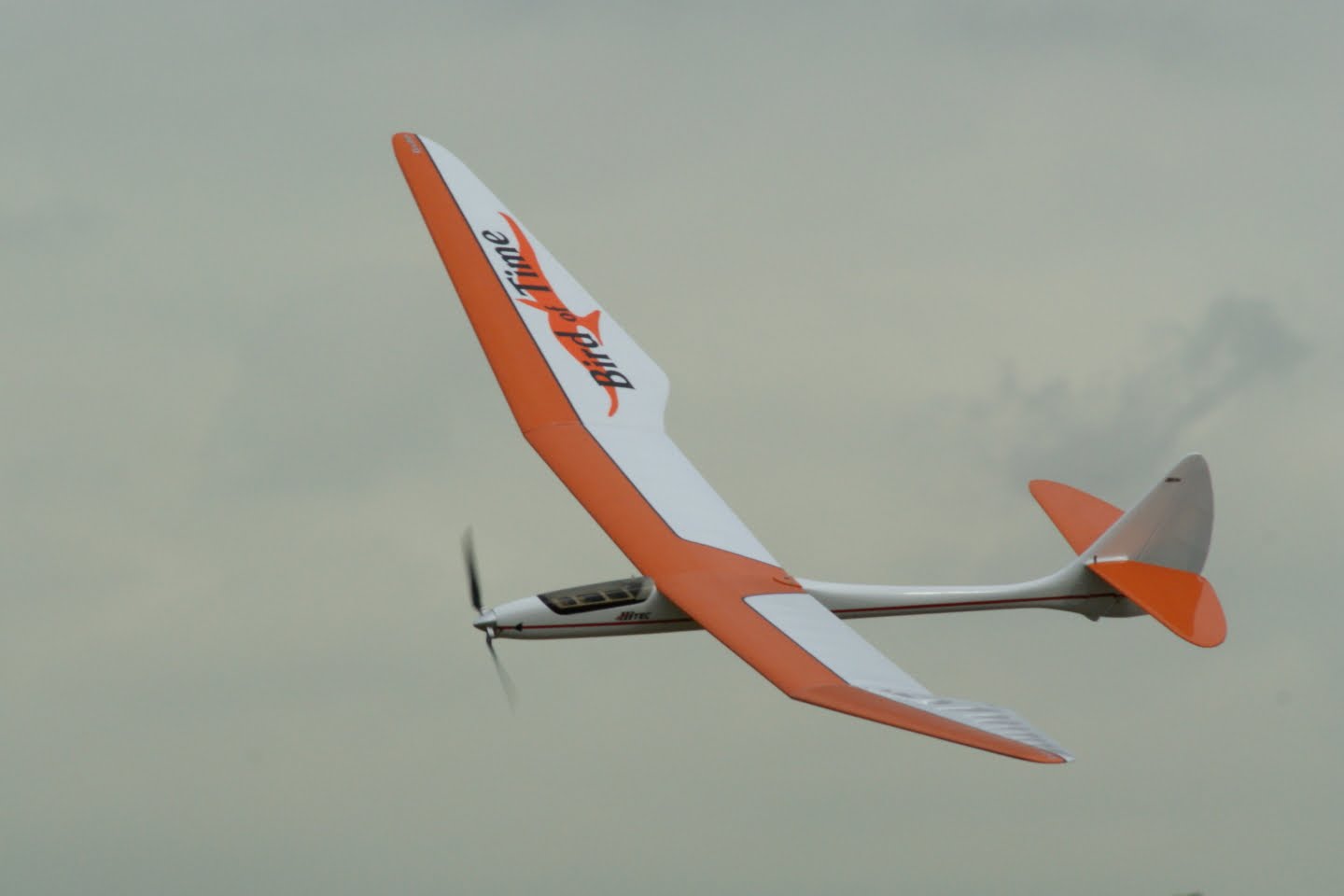 Thermal Duration Flight: Back to the 70's classic sailplane " The Bird ...
