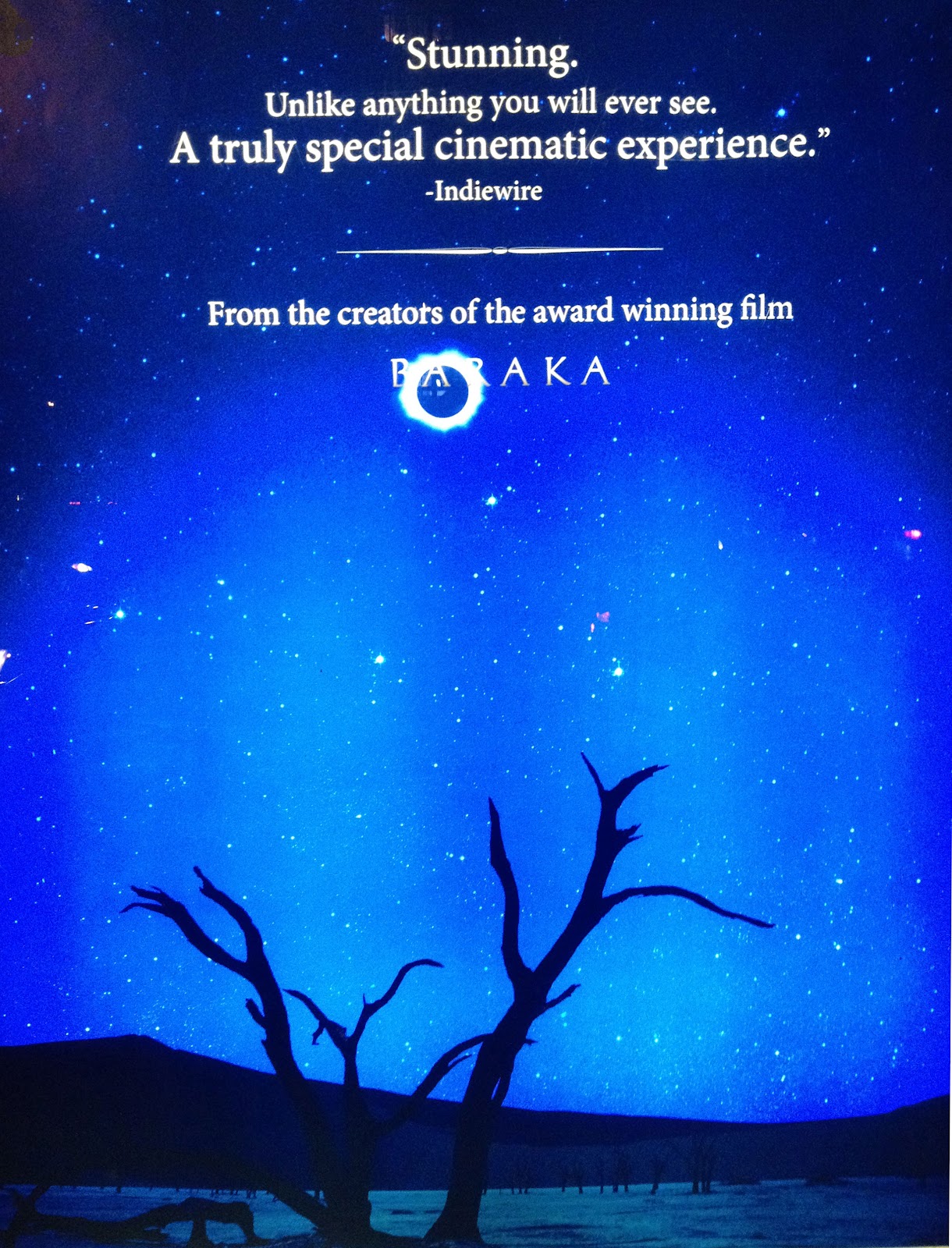 Publicide Inc: Custom + Commercial Printing in NYC: SAMSARA Lightbox Poster