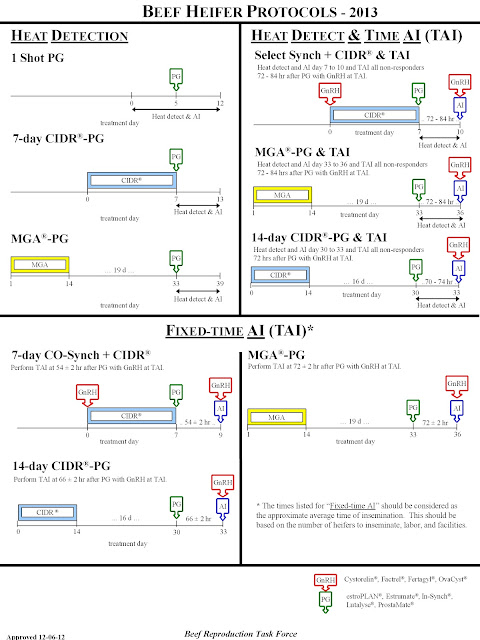The GENEX Blog: Beef Synchronization Protocols