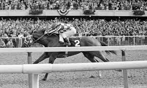 Zwierzakowo : Secretariat - najszybszy koń wyścigowy