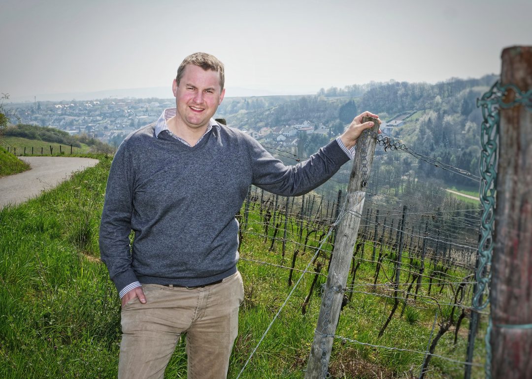 Ein Weinberg 800 Jahre im Familienbesitz - das Weingut Prinz Salm ...
